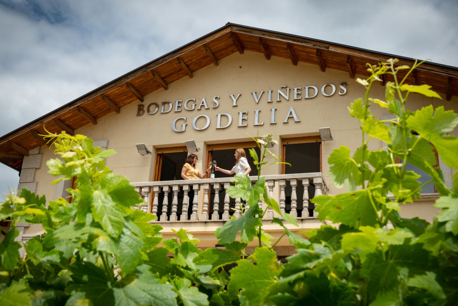 WINERY - Godelia